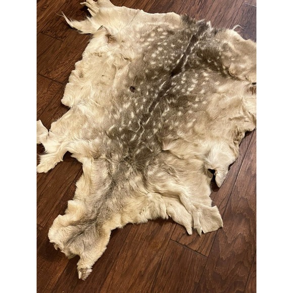 Unbranded | Other | Taxidermy Tanned Large Fallow Deer Skin Rustic ...